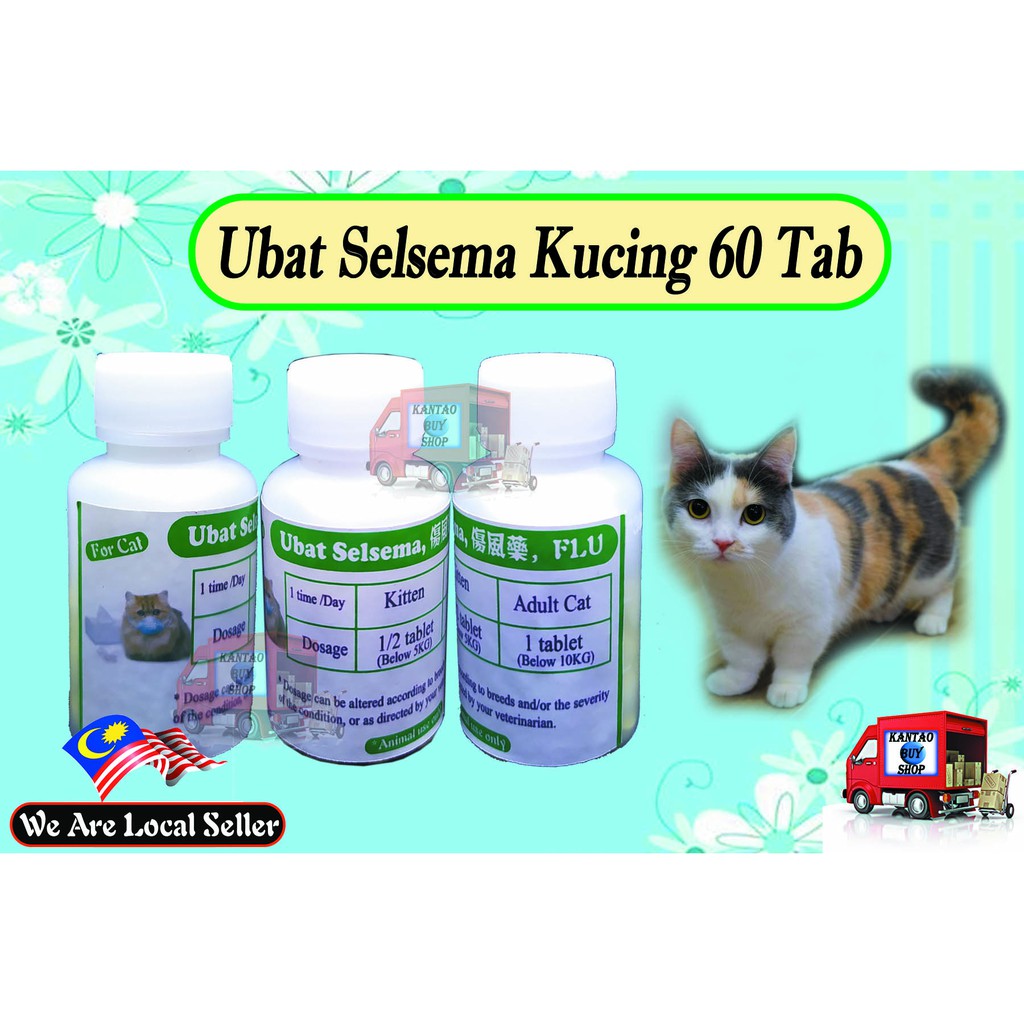 Wholesale Pack- Ubat Selsema Kucing 60 Tablet | Shopee Malaysia