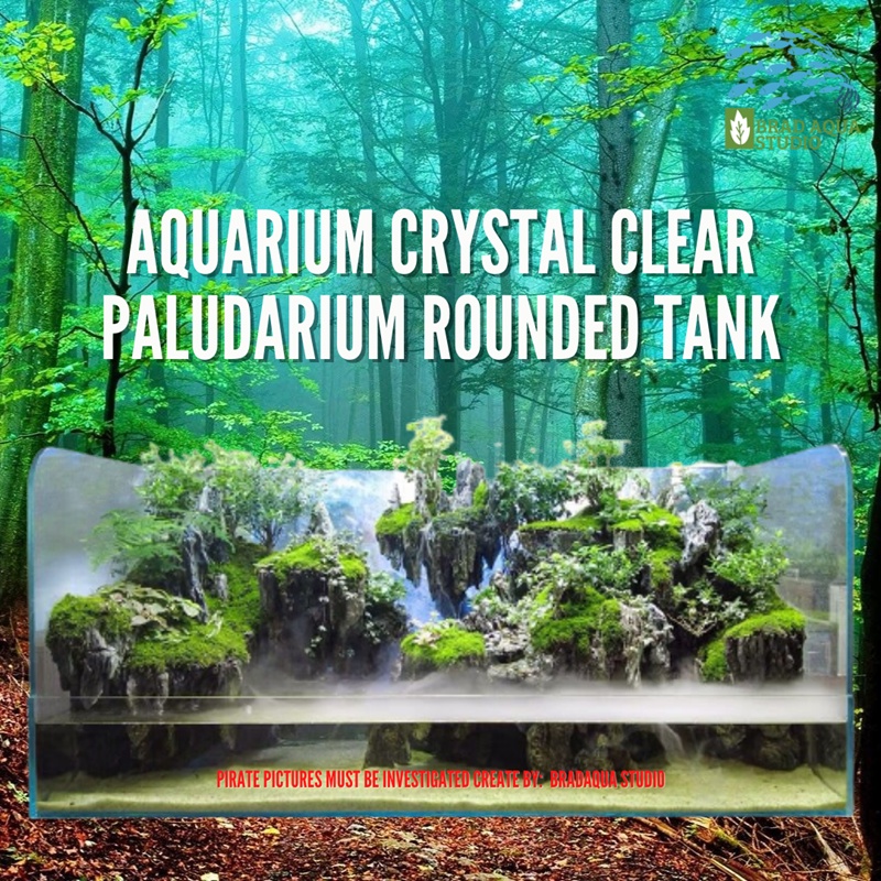 AQUARIUM Fish Tank Crystal Clear Tank Paludarium Rounded Tank 6mm ...