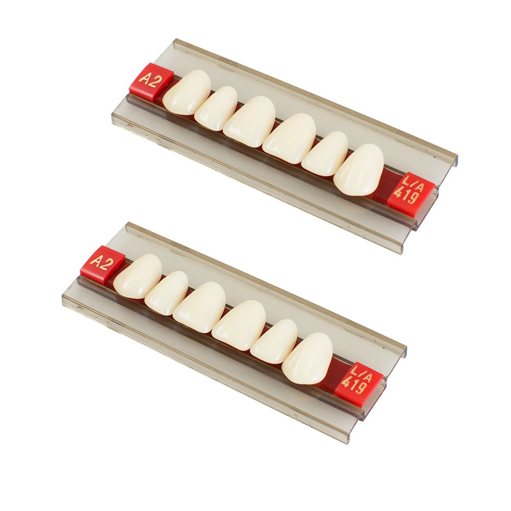 READY STOCK Acrylic Resin Denture Dental Teeth Shade G419 A2/A3 ...