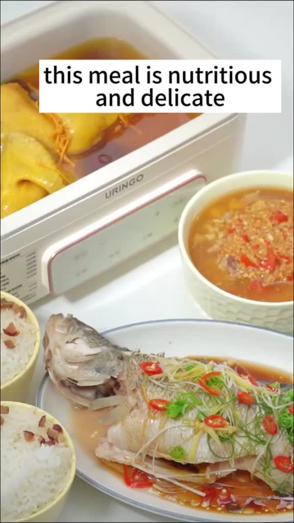 URINGO Electric Steamer Multifunctional Breakfast Cooker Appointment ...