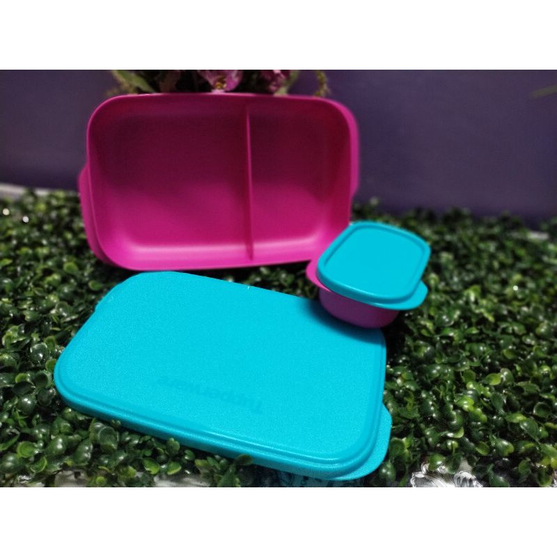 Foodie buddy Tupperware | Shopee Malaysia