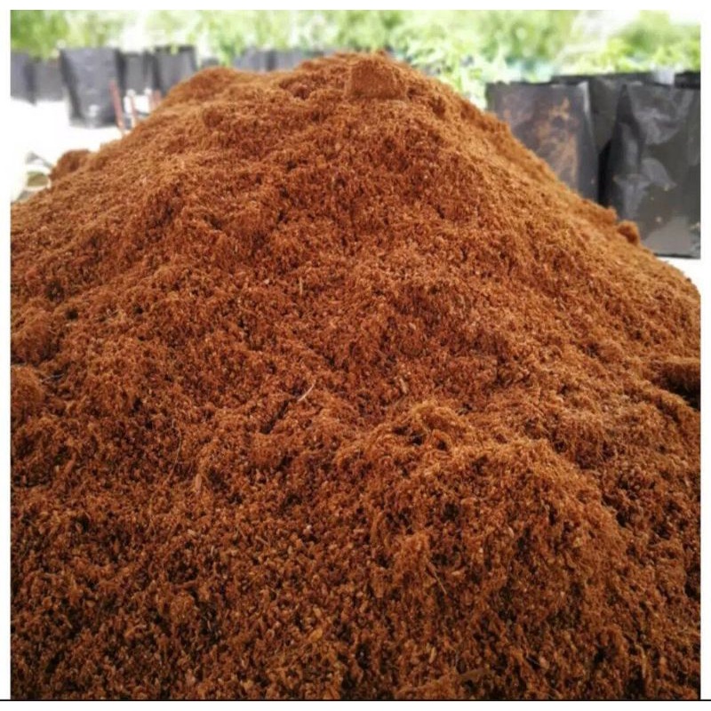 2Litre Cocopeat / Sabut Kelapa Halus / Sabut Kelapa Hancur / Media ...