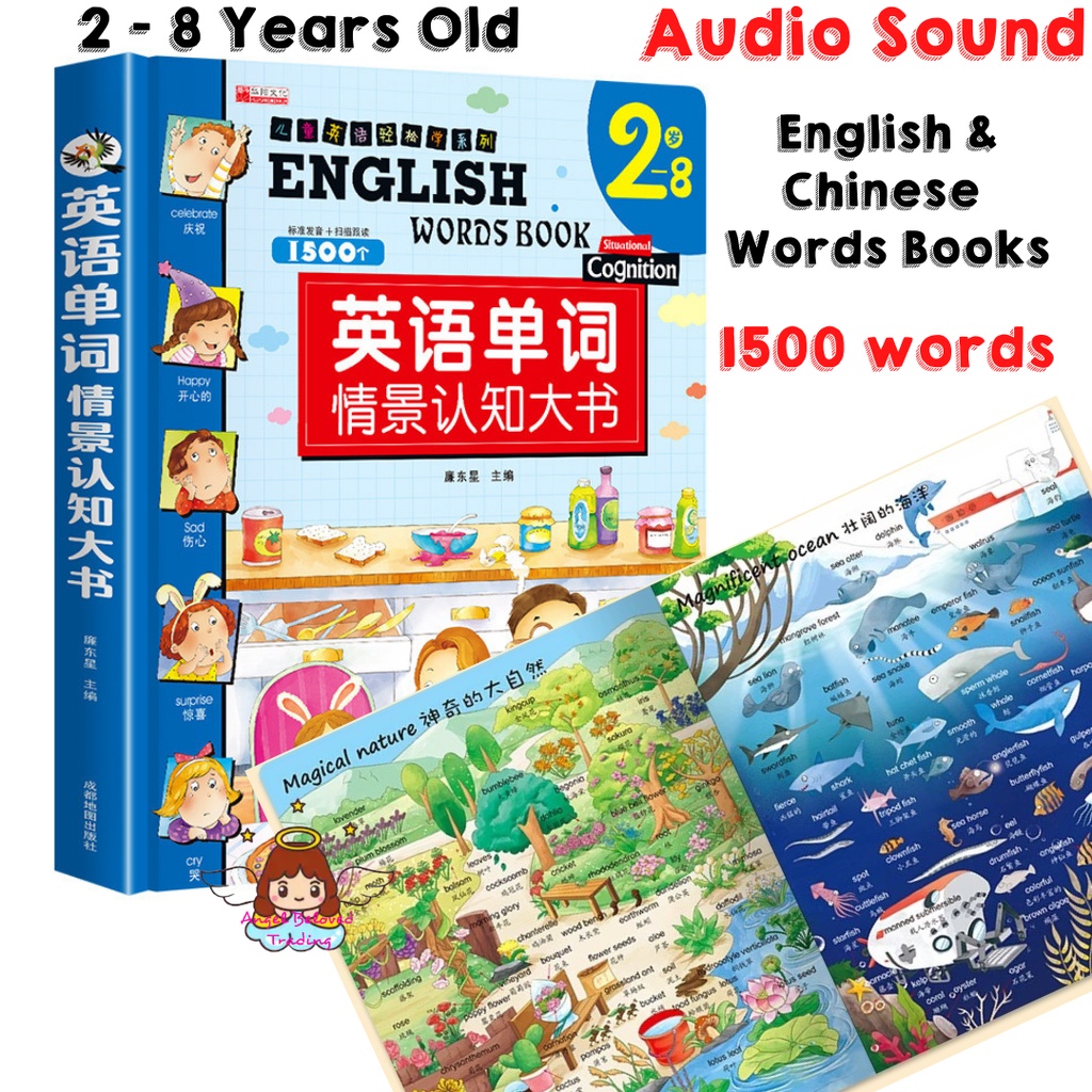 Reading Sound BIG Picture Dictionary for kids English Chinese / English ...