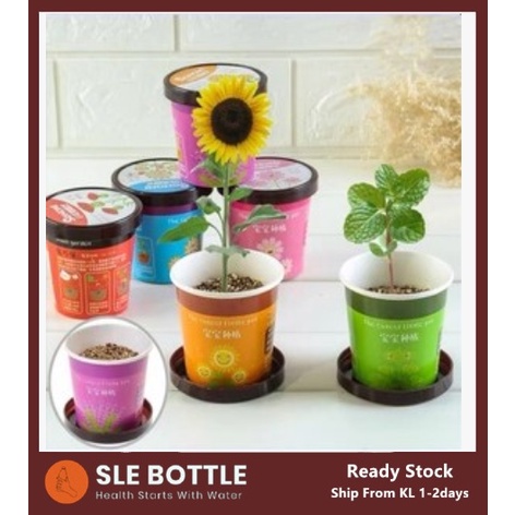 SLE Mini Flower Sohomi DIY Cutest Little Pot Mini Plant Office indoor ...