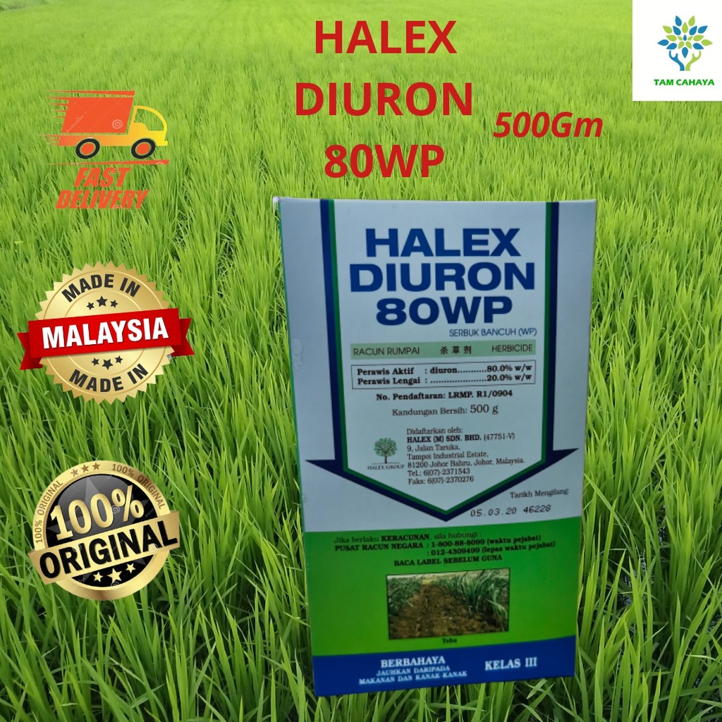 500g HALEX DIURON 80WP (Sama Dengan Hextar Diuron ) Racun Rumput Sambau ...