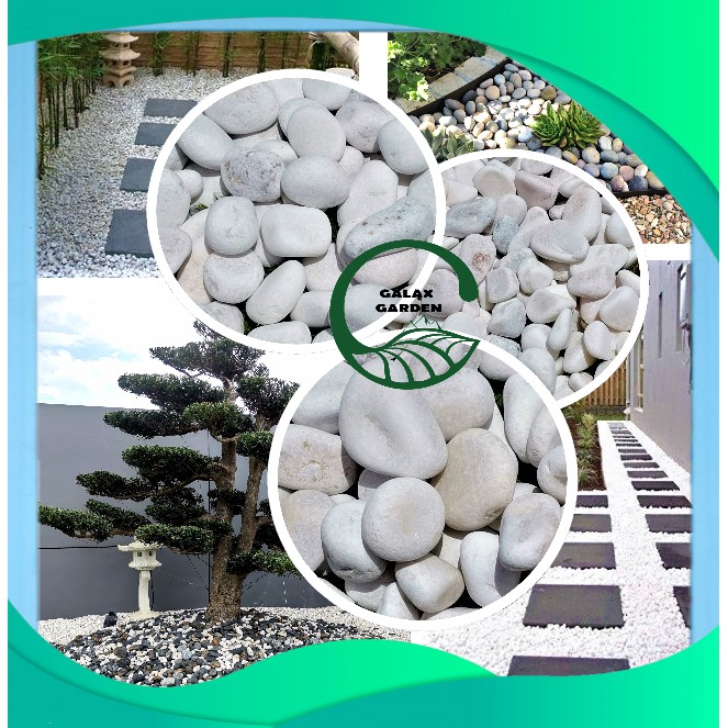 Batu putih / Garden white pebble stone for garden landscape (1kg ...