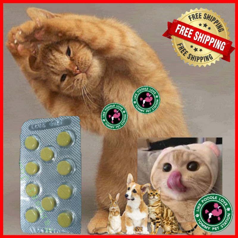 Vitamin B Complex Komplek Tablets with B Complex dog cat puppy Anjing ...