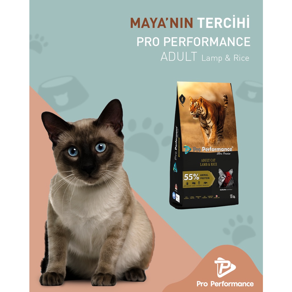 Pro Performance Ultra Premium Cat Food - Lamb & Rice 800gm Repack ...