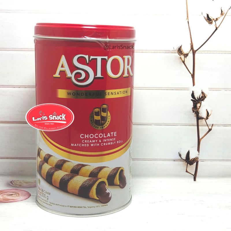 Astor Double Chocolate Cans 330gr Snack Wafer Stick Chocolate | Shopee ...