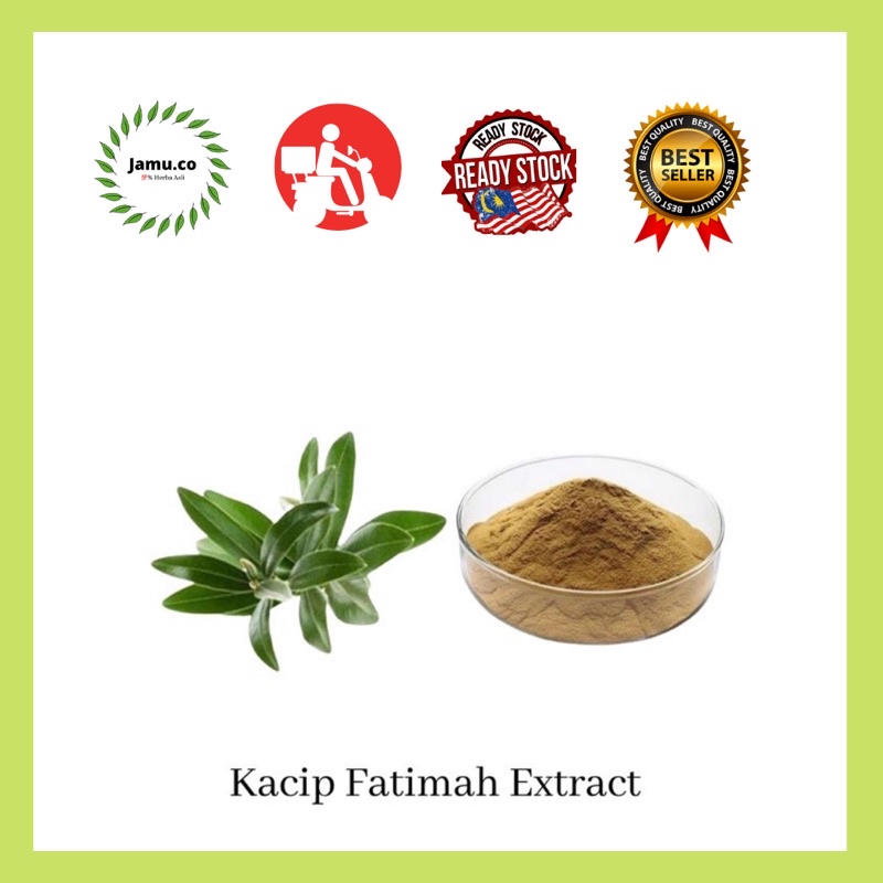 Kacip Fatimah Extract 💯% Asli Kacip Fatimah Powder Extract / Labisia ...