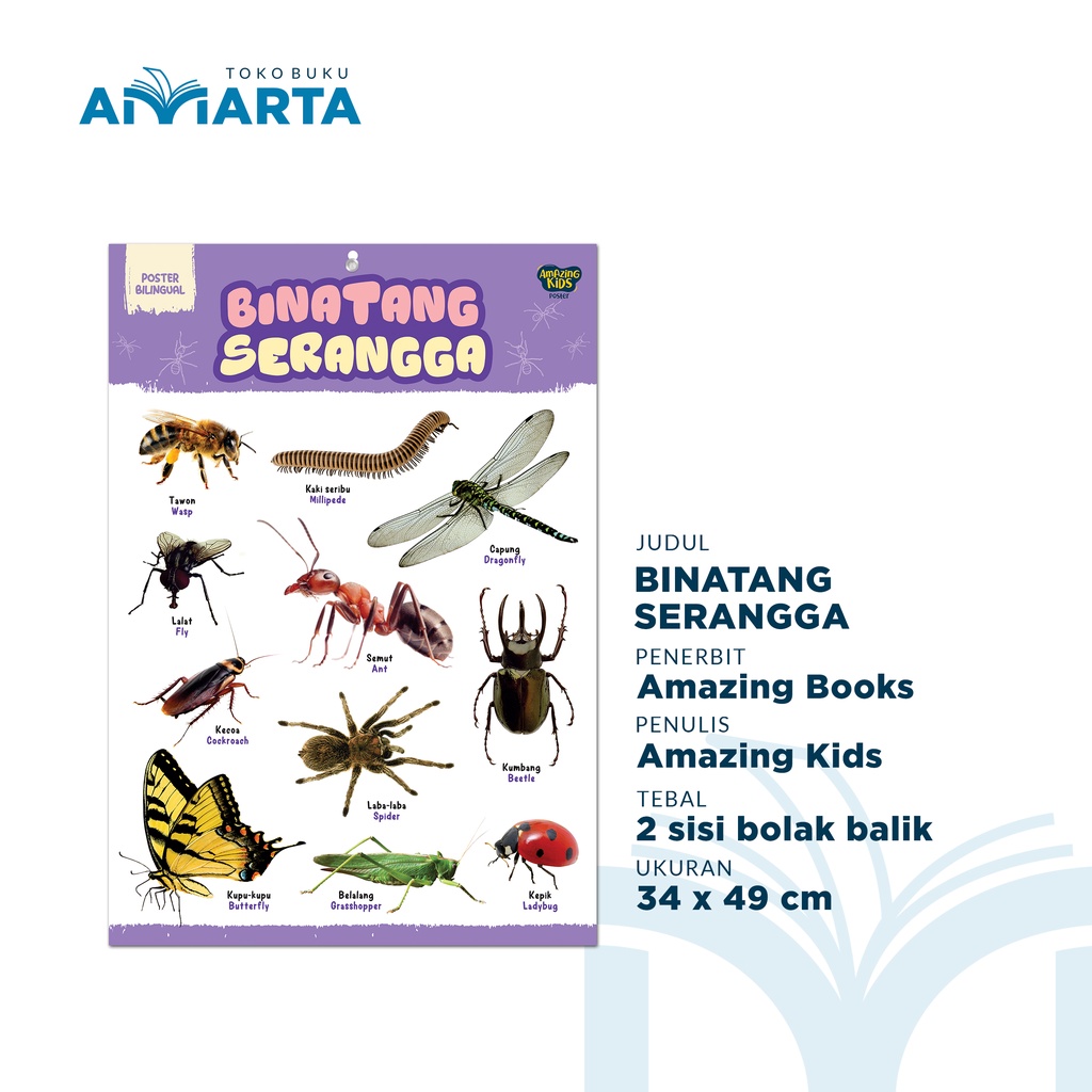 Children's Educational Poster - Insect (Bilingual Poster) | Shopee Malaysia