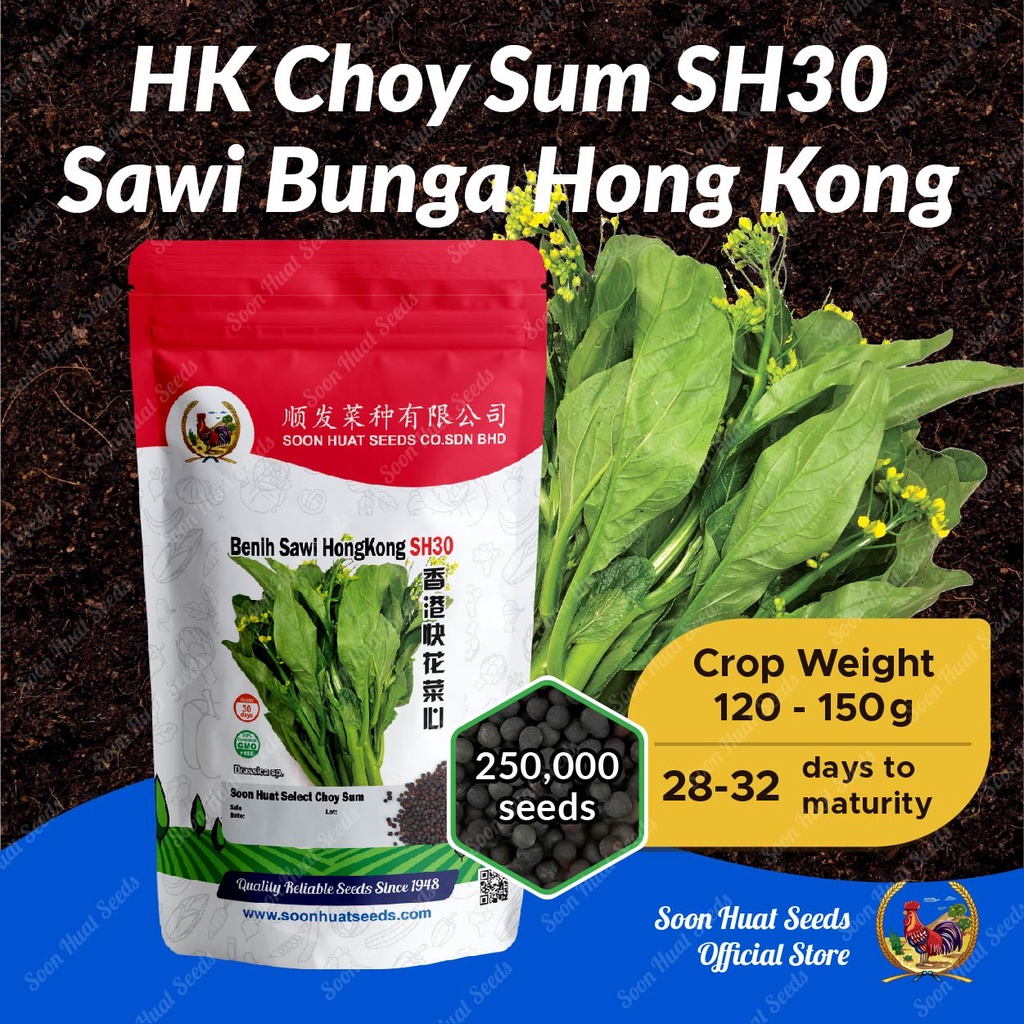 [500g] SH30 Benih Sayur Sawi Bunga Hong Kong Soon Huat Seeds | Shopee ...