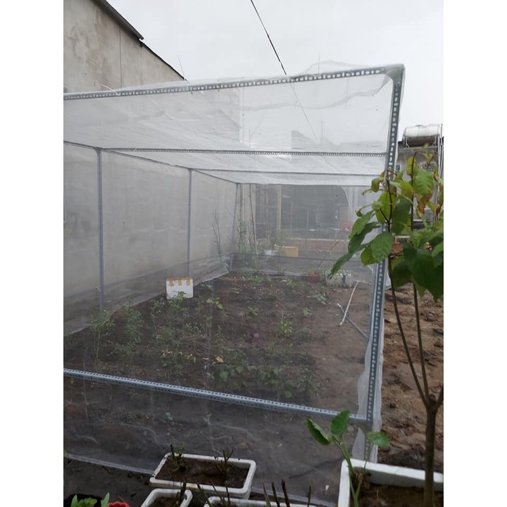 Household vegetable net house (sold in square meters) | Shopee Malaysia