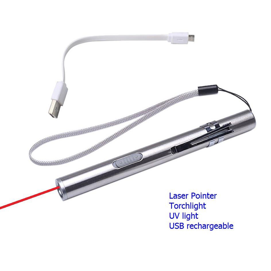 Laser Pointer USB Rechargeable LED Torch light UV Flashlights wireless ...