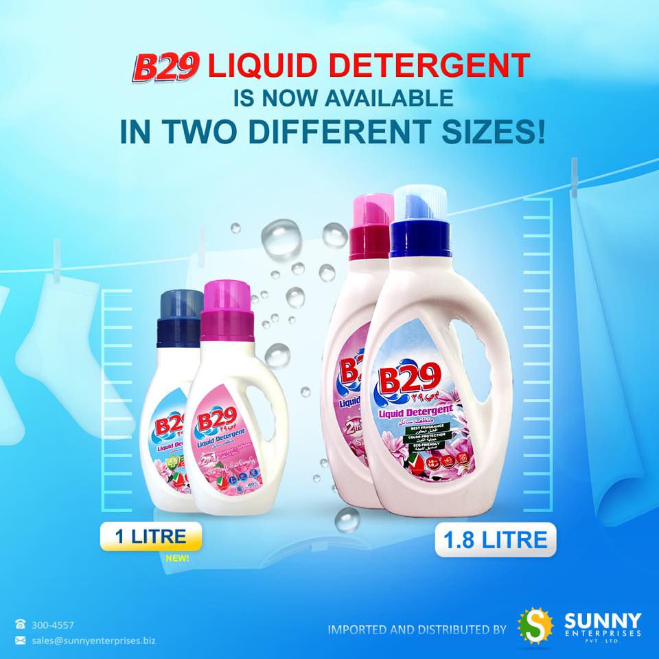 B29 Liquid Detergent 1000ML | Shopee Malaysia
