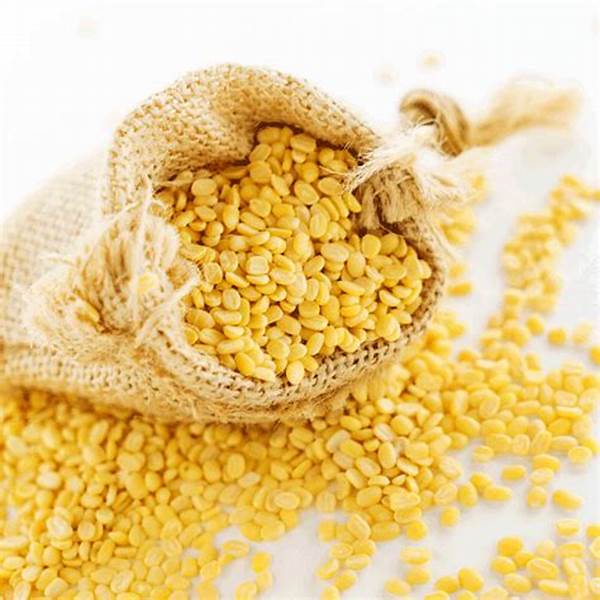 Moong Beans Split Yellow, Dall Mung Kuning, Yellow Moong Dal 500g - 1Kg ...