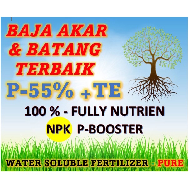 BAJA AKAR/BATANG TERBAIK Fully Nutrition (NPK+TE) P-BOOSTER water ...