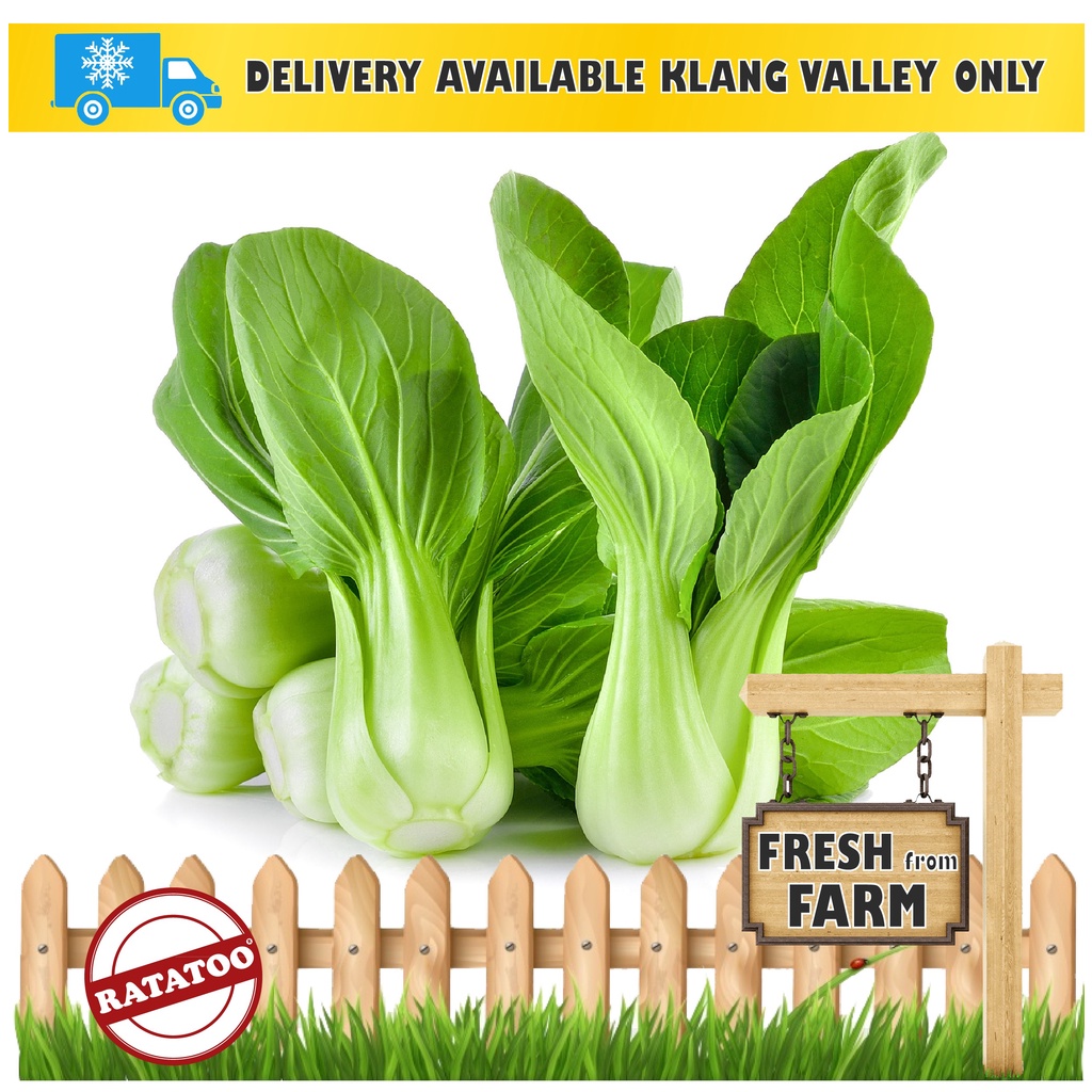 [SALE] VEGETABLE Siew Pak Choy (200g+-) RATAOO MARKET | Shopee Malaysia