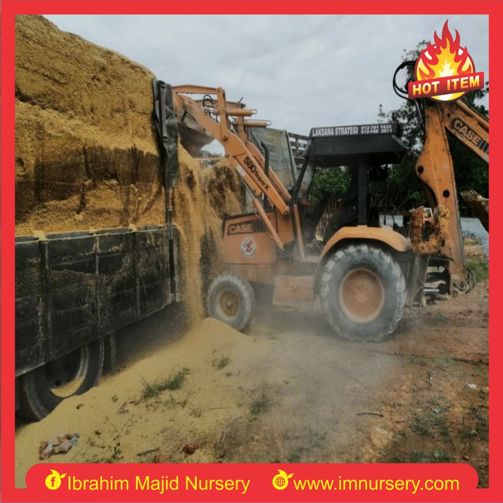 (80L) SEKAM PADI MURAH/ SEKAM MENTAH/ RAW PADDY HUSK/ SEKAM KOMPOS ...