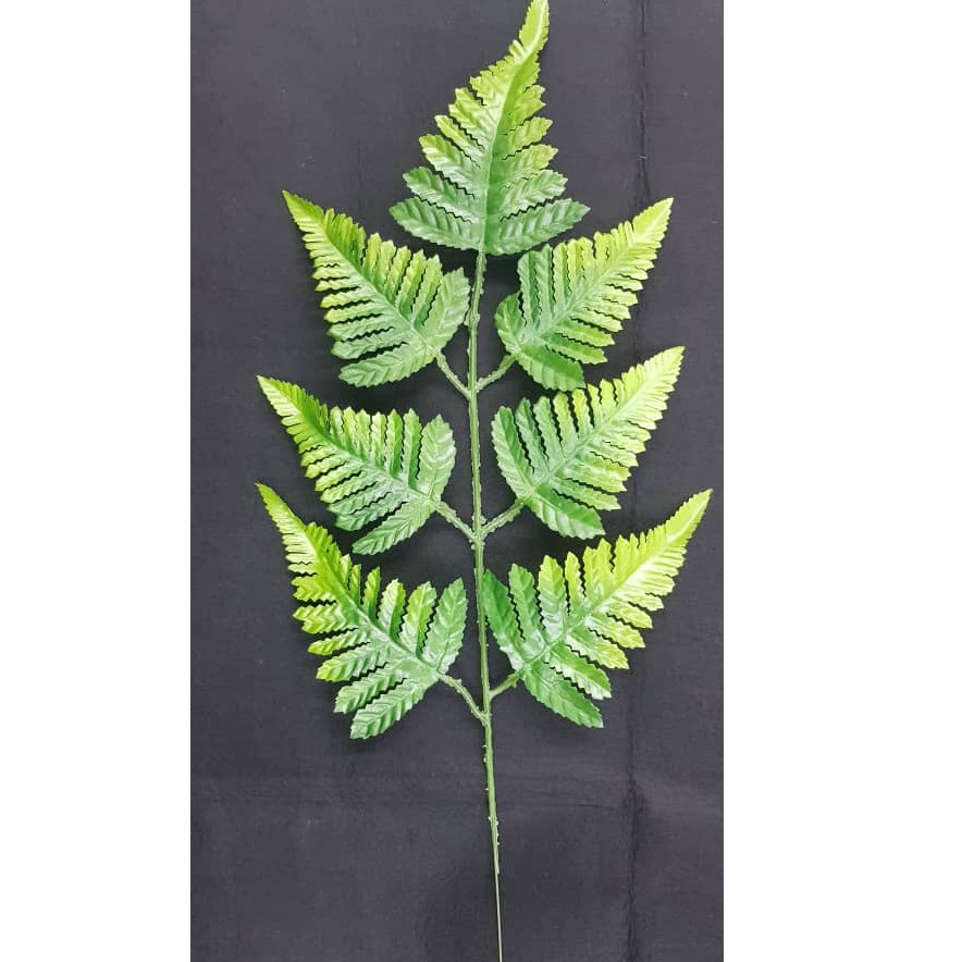 Fern Leaf (1pc) 33cmx22cm | Daun paku pakis | Shopee Malaysia