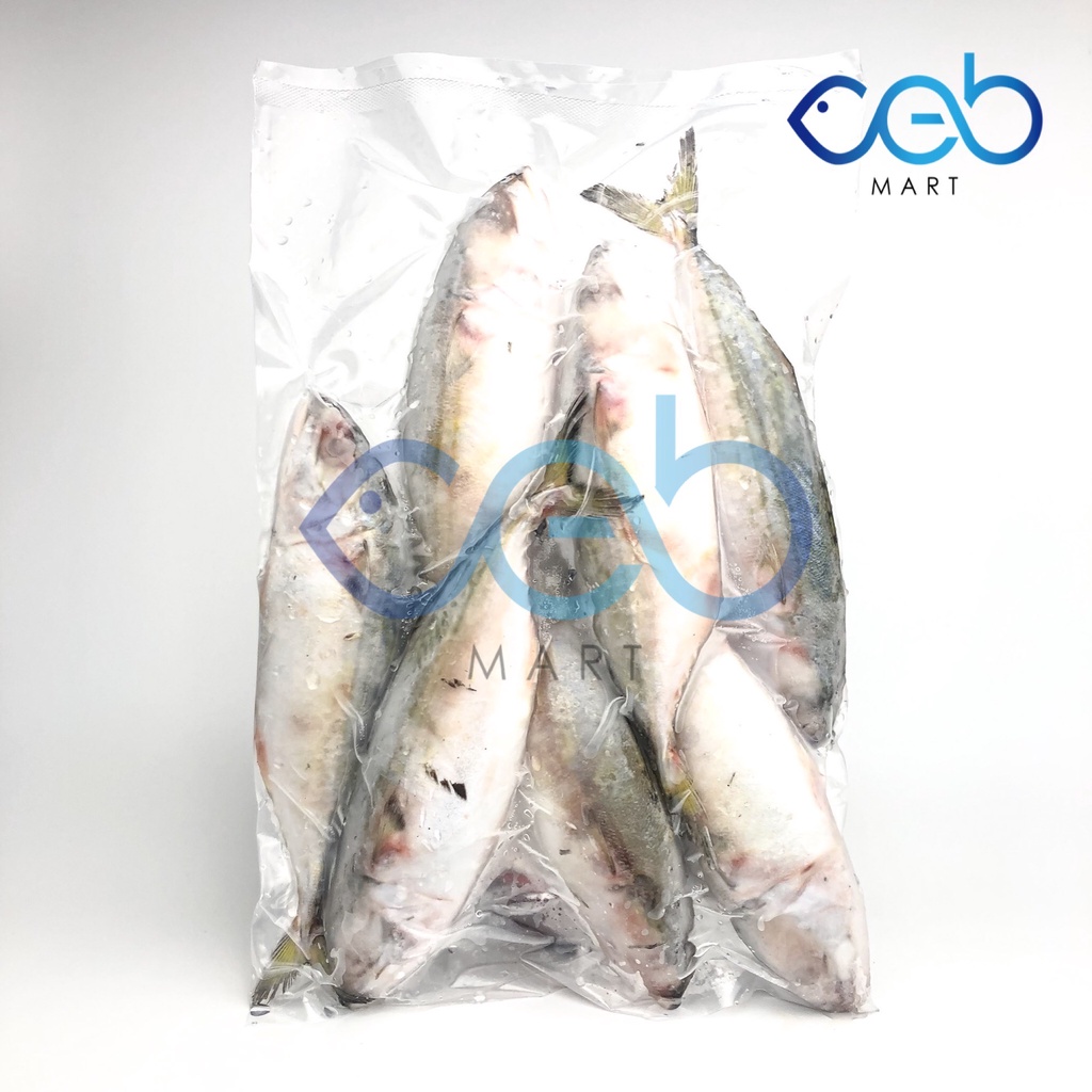 Frozen Indian Mackerel (Ikan Kembong) 6/8 - 1kg | Shopee Malaysia