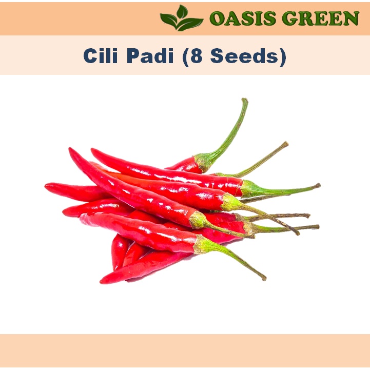 Biji Benih / Vegetable Seed /FLOWER SEEDS /SAYUR/BUNGA/BUAH BENDI ...