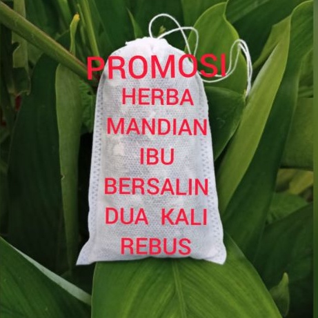🔥BEST SELLING 🔥 SALES HERBA MANDIAN IBU BERPANTANG / DAUN SEROM ...