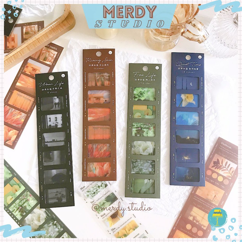 Set Of 6 Long Strips Of Pet Plastic sticker Theme Life Color Arrays ...