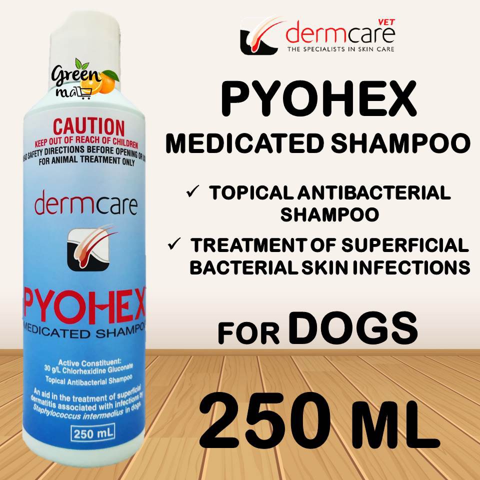 Pyohex Medicated Shampoo 250mL for Dogs | Topical AntiBacterial Shampoo ...