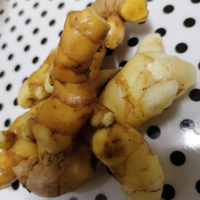 🔥READY STOCK 50Gram RIZOM TEMU PAUH MUDA | Shopee Malaysia