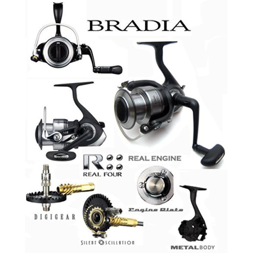 DAIWA BRADIA ORIGINAL MADE IN JAPAN ( NEW IN BOX ) | Shopee Malaysia