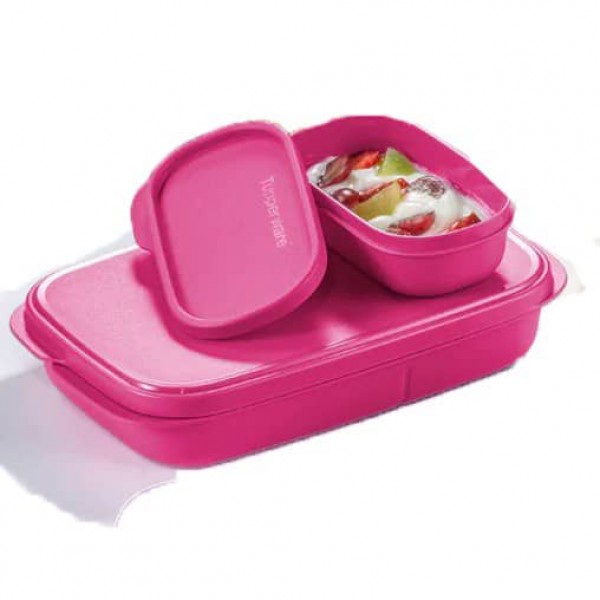 Tupperware FoodieBuddy Lunch Box Set (560ml Big Outside + 120ml Small ...