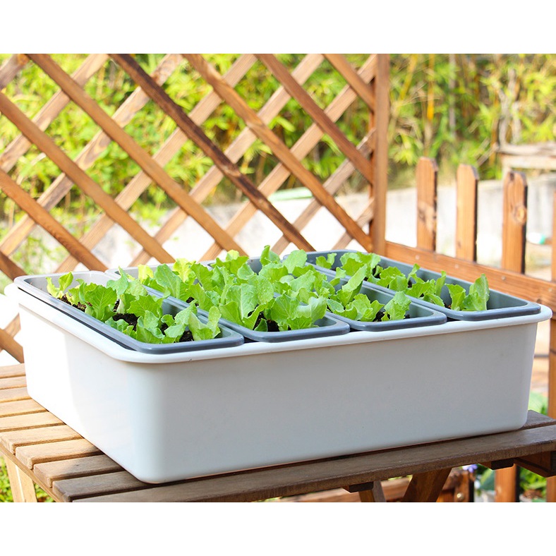 4 Joint Self Watering Planter Pot Square Vegetable Pot Flower Pot ...