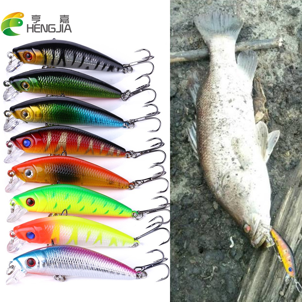 HENGJIA 1Pcs Floating Minnow Fishing Lure 7cm/7g 3D Eyes Crankbait Bass Artificial Plastic Hard ...