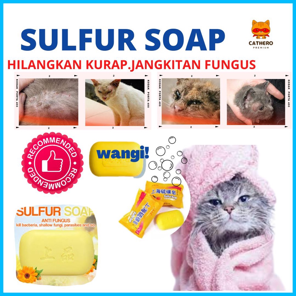 CATHERO Sabun kurap Hot stuff️ Sulfur Shanghai Sulphur Soap For fungus ...