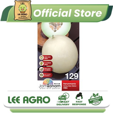 JT129 MELON MADU/TEMBIKAI BIJI BENIH SAYUR BUAH (10 SEEDS)/HONEY DEW ...