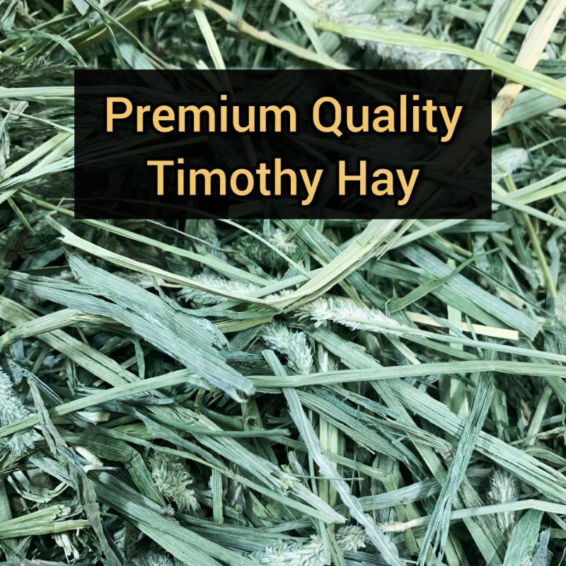 Premium Timothy Hay for Guinea Pig Rabbit Chinchilla Horse rumput ...