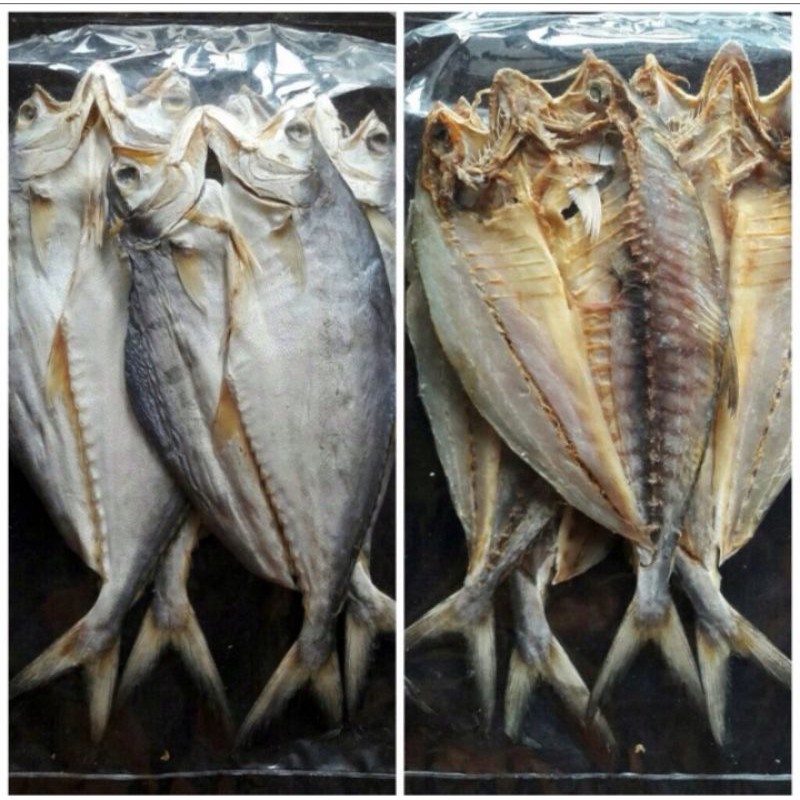 Ikan Talang Padi (Kering) | Shopee Malaysia