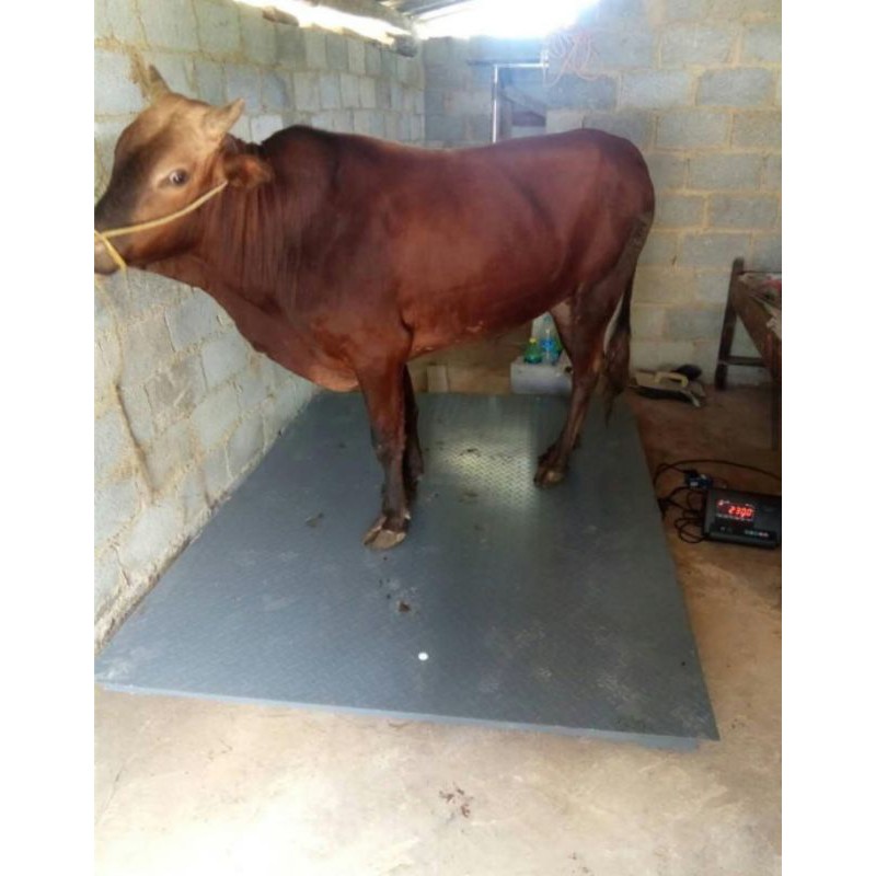 2 TON 4 FEET x 4 FEET DIGITAL FLOOR SCALE | Shopee Malaysia