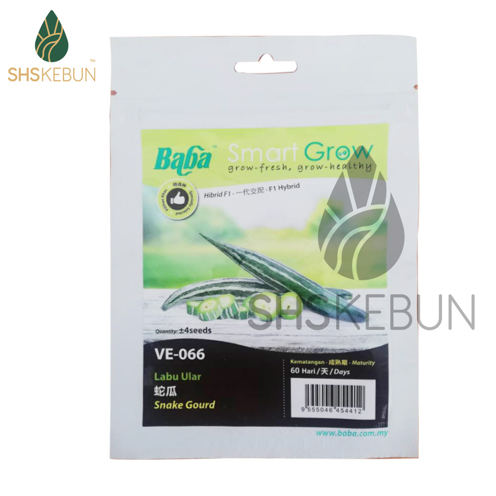 Baba Benih Labu Ular Snake Gourd F1 Hybrid Non-GMO Seeds VE-066 SHS ...