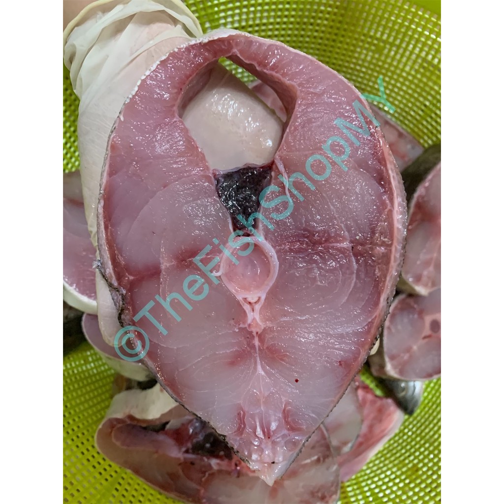Ikan Haruan Tasik/ Cobia Steak Cut (Cleaned and Packaged) | Shopee Malaysia