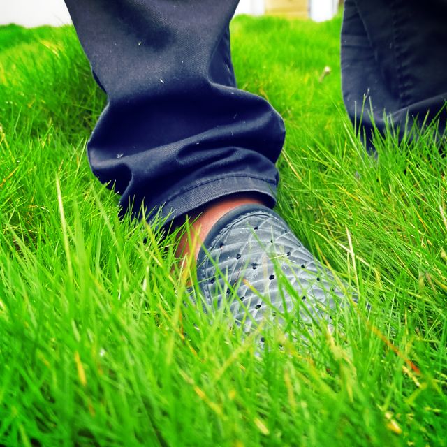 Rumput Carpet Japanese Grass Rumput Jepun Rumput murah | Shopee Malaysia