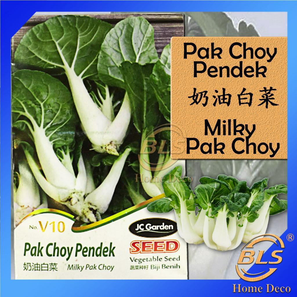 V10 MILKY PAK CHOY JC GARDEN VEGETABLE SEED BIJI BENIH PAK CHOY PENDEK ...