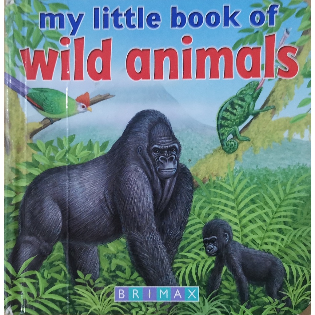 Brimax: My Little book of Wild Animals Boardbook [Preloved/Secondhand ...