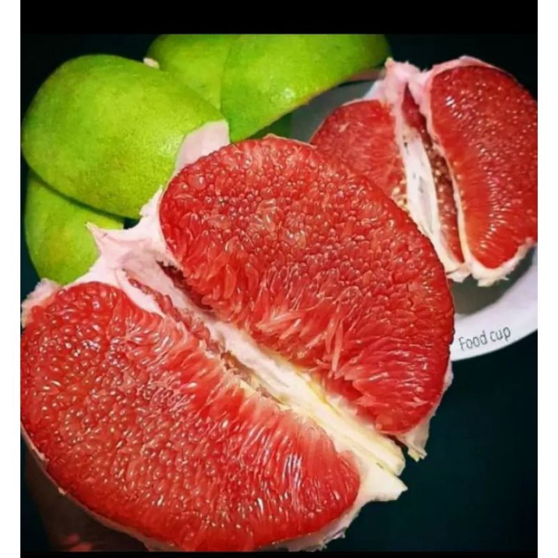 benih pokok limau bali merah | Shopee Malaysia