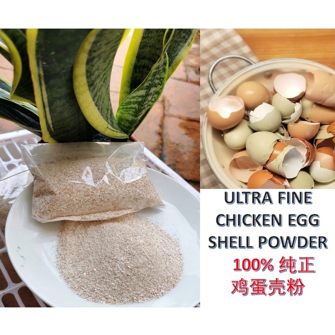 Homemade Egg Shell Powder 100% Natural Calcium Fertilizer#100% Tepung ...