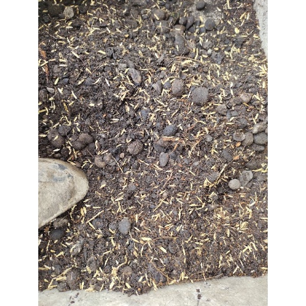 Tanah Subur Organic , Tanah Pokok , Tanah Bunga (1kg) | Shopee Malaysia