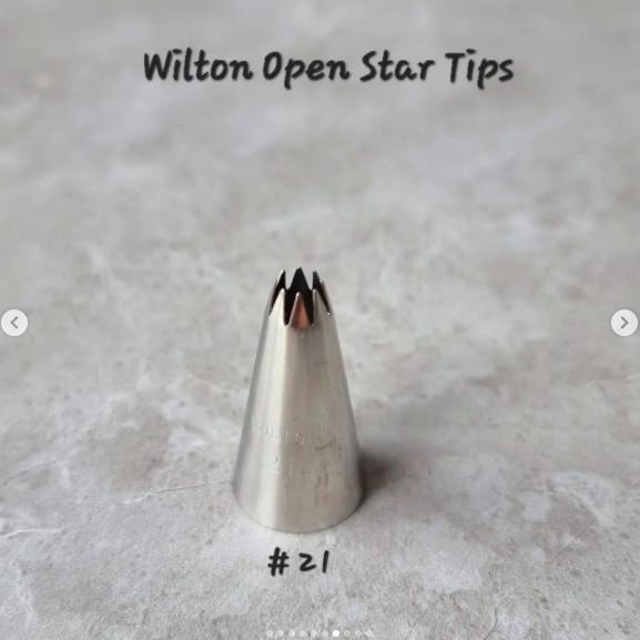 Wilton Syringe decorating open star tips 14 16 18 21 22 32 199 1m 4b 6b ...
