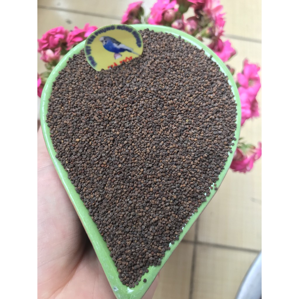 Yellow flower curry seeds for cuckoos, 0.5kg package | Shopee Malaysia