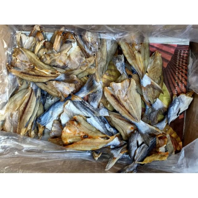 Ikan Kering Otek 250g | Shopee Malaysia